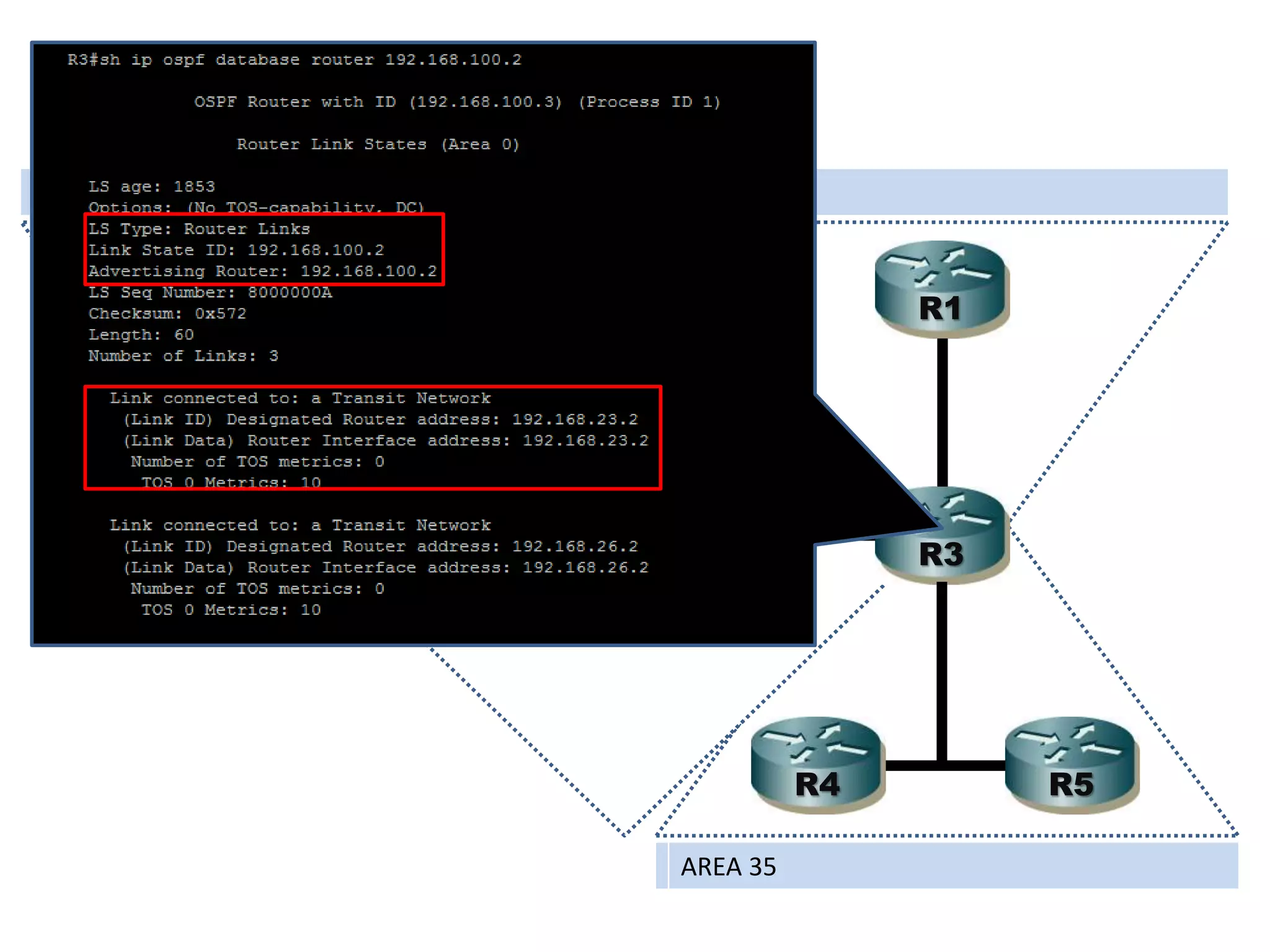 Introduction to Link State Advertisements (LSA) | PPTX