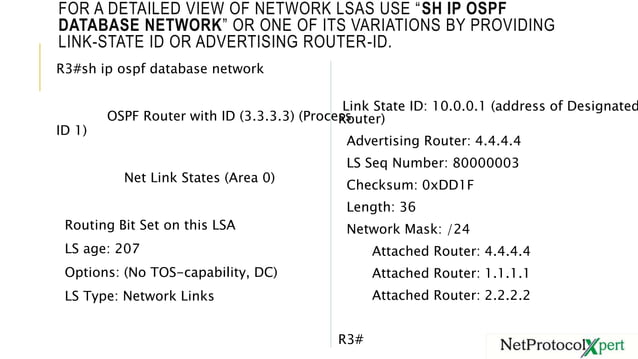 OSPF Network LSA (Type 2 LSA) | PPTX | Computer Networking | Computing