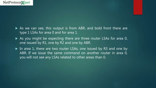 OSPF Router LSA (Type 1) | PPTX