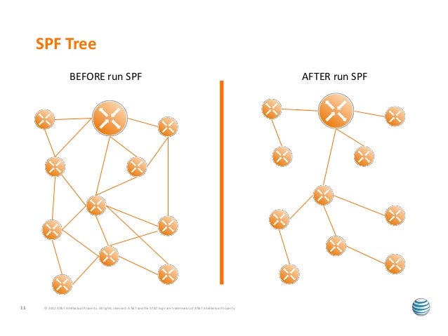 Ospf Basics