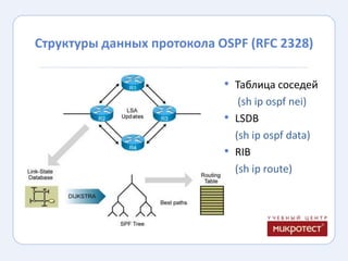 OSPF: некоторые аспекты использования virtual link | PPTX