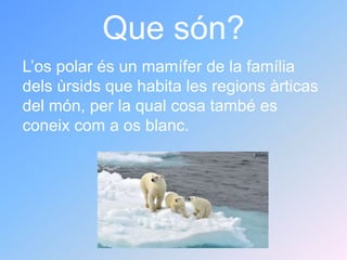 Os polar | PPTX