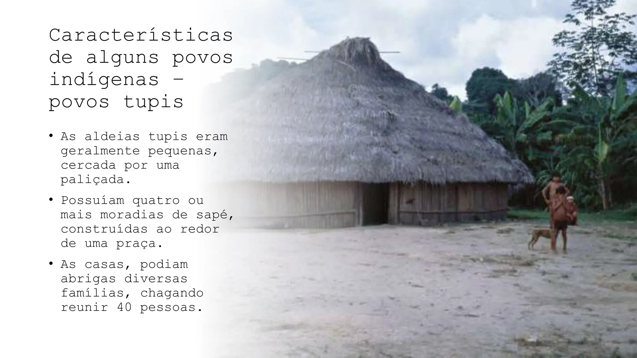 Os povos indígenas no Brasil. tupi e macro-jes | PPT