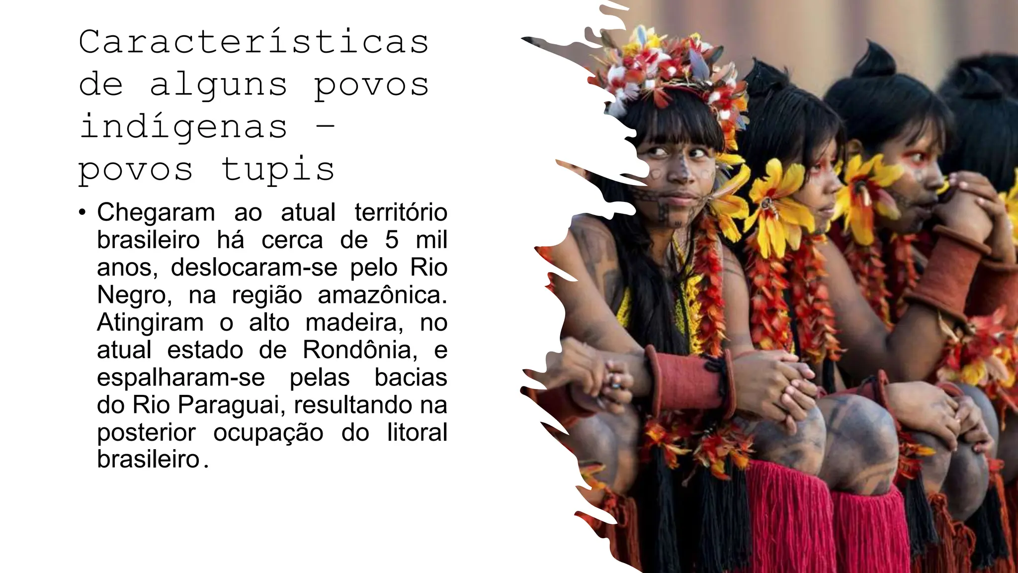 Os Povos Indígenas No Brasil Colonial T Ppt