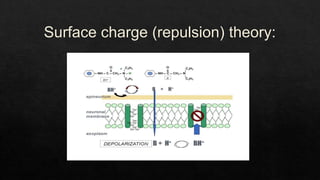 Oral surgery basic introduction | PPTX
