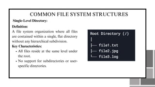 FILE SYSTEM STRUCTURE PRESENTATION OPERATING SYSTEM | PDF