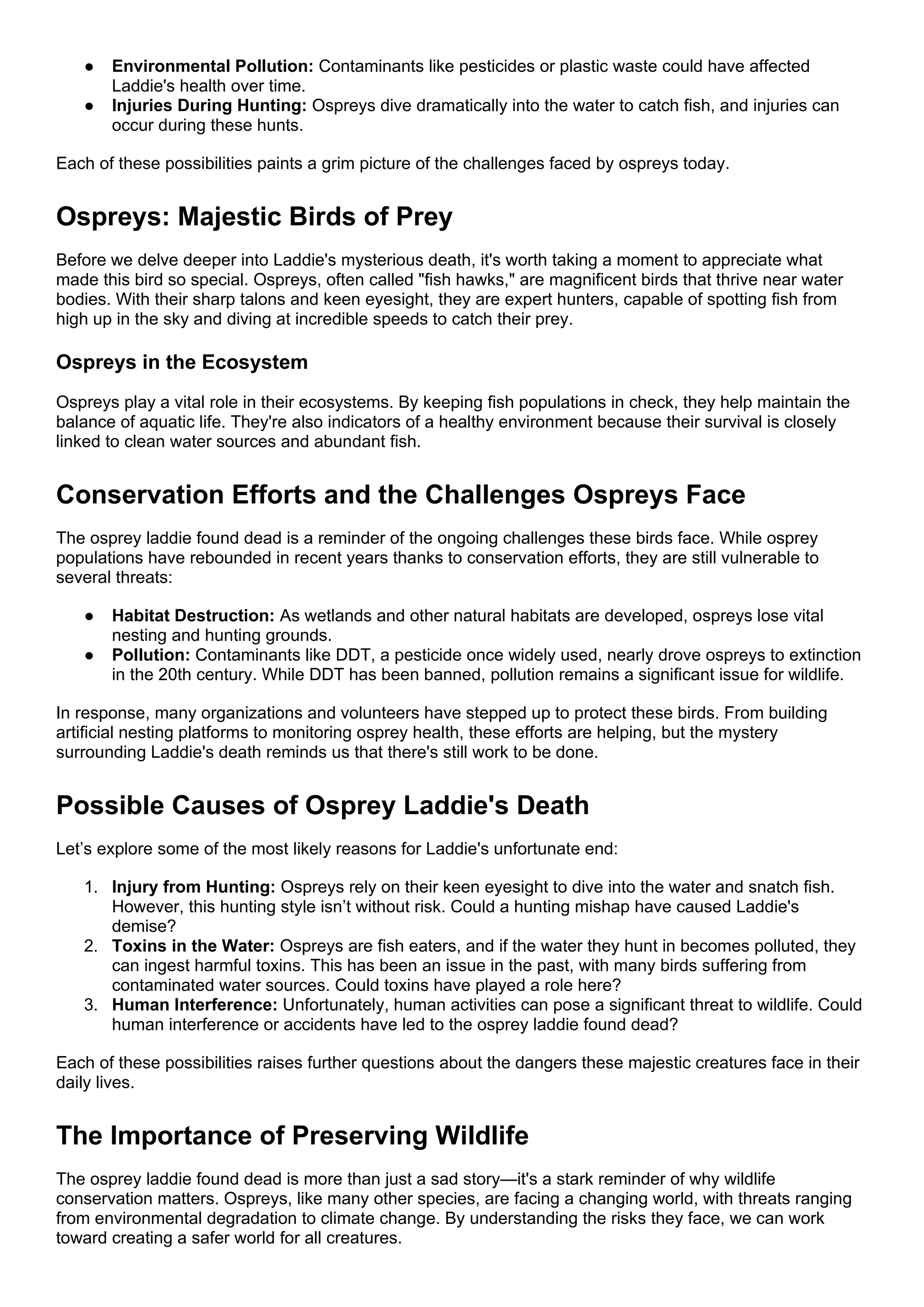 Osprey Laddie Found Dead_ A Mysterious Loss in the Skies.docx