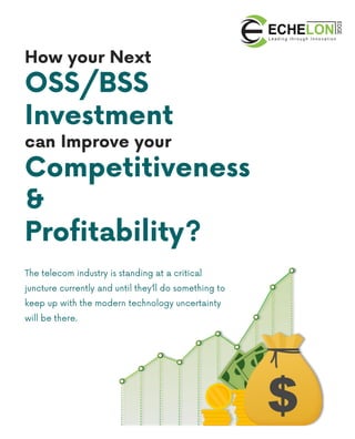How Your Oss/bss Investment Can Improve Profitability | PDF