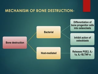 Periodontal Bone Loss and Patterns of Bone Destruction | PPTX