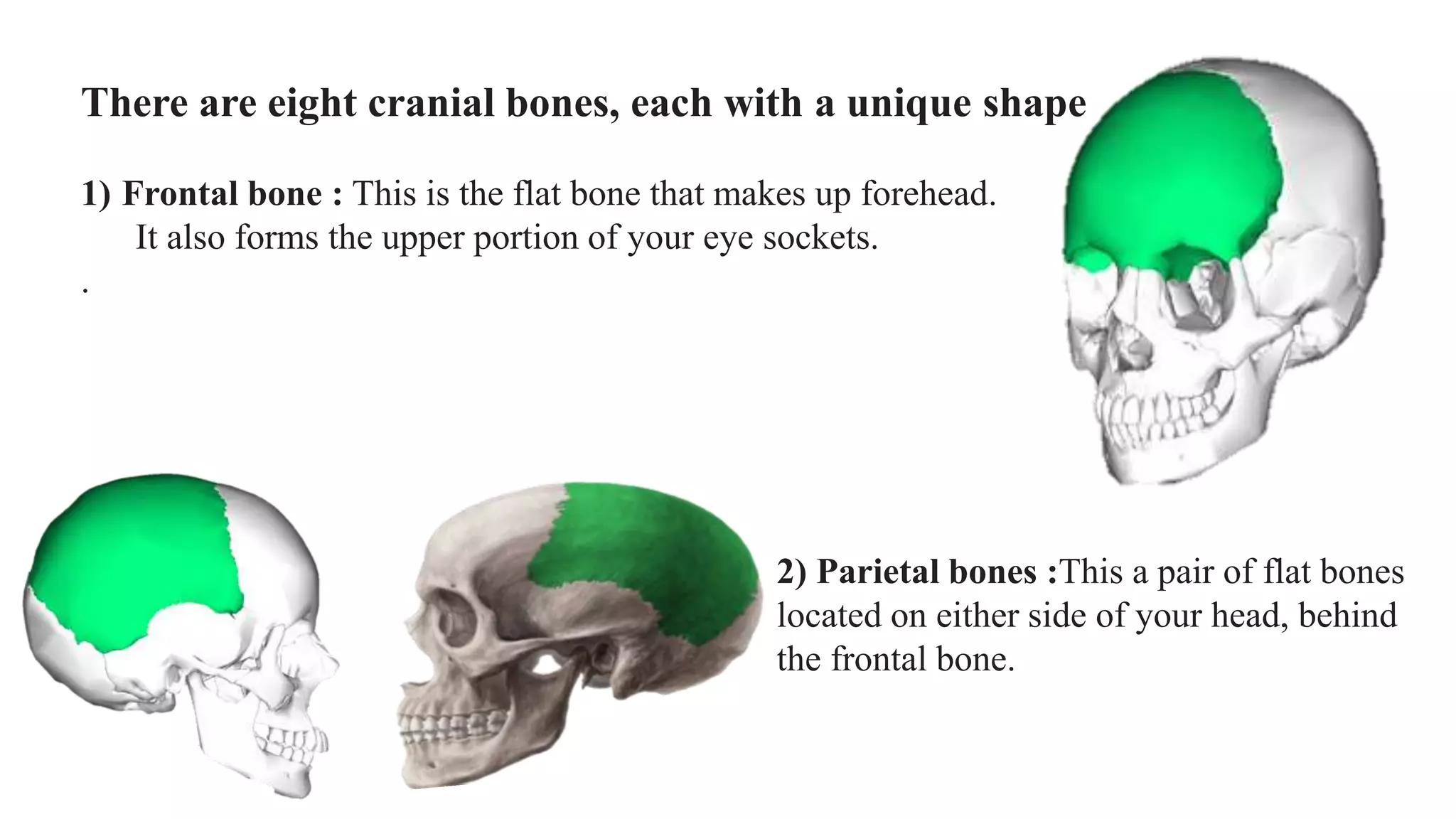Osseous System Part I.pptx