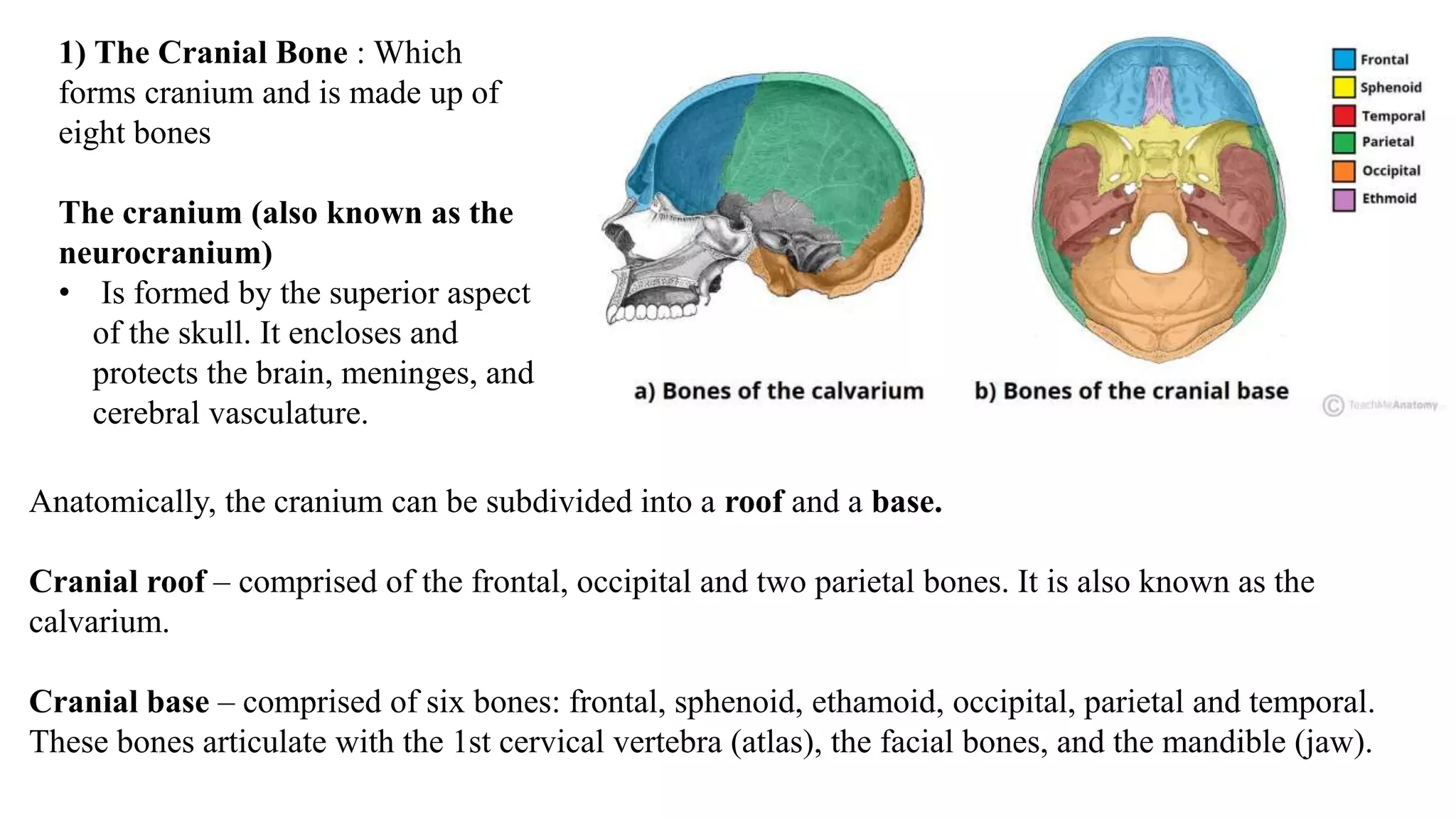Osseous System Part I.pptx