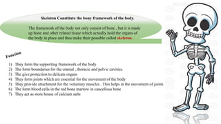 Osseous System Part I.pptx