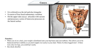 Osseous System Part I.pptx