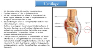 Osseous System Part I.pptx