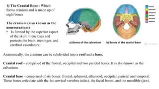 Osseous System Part I.pptx