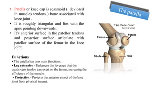 Osseous System Part II.pptx