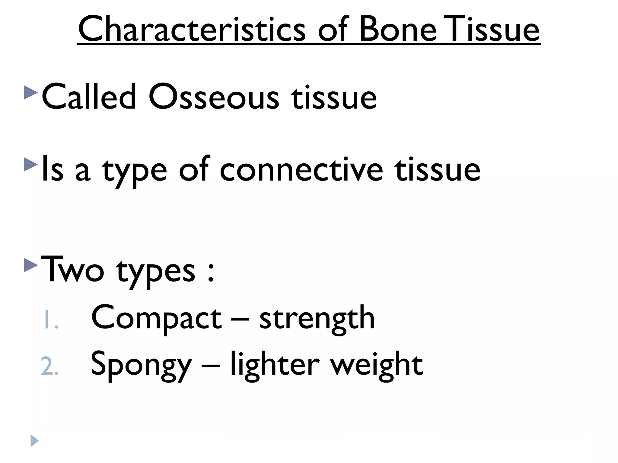 A and P Osseous tissue | PPT