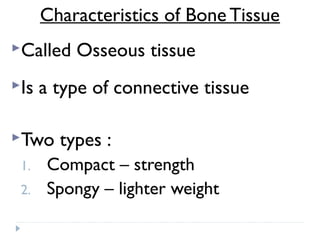 A and P Osseous tissue | PPT