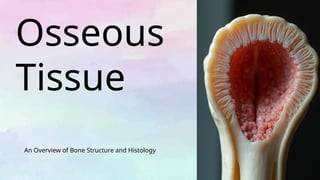 Osseous Tissue histology bone tissue.pptx