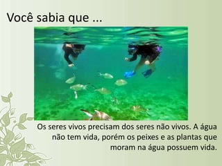 Os seres vivos e os elementos não vivos | PPTX