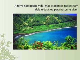 Os seres vivos e os elementos não vivos | PPTX