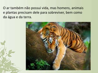 Os seres vivos e os elementos não vivos | PPTX