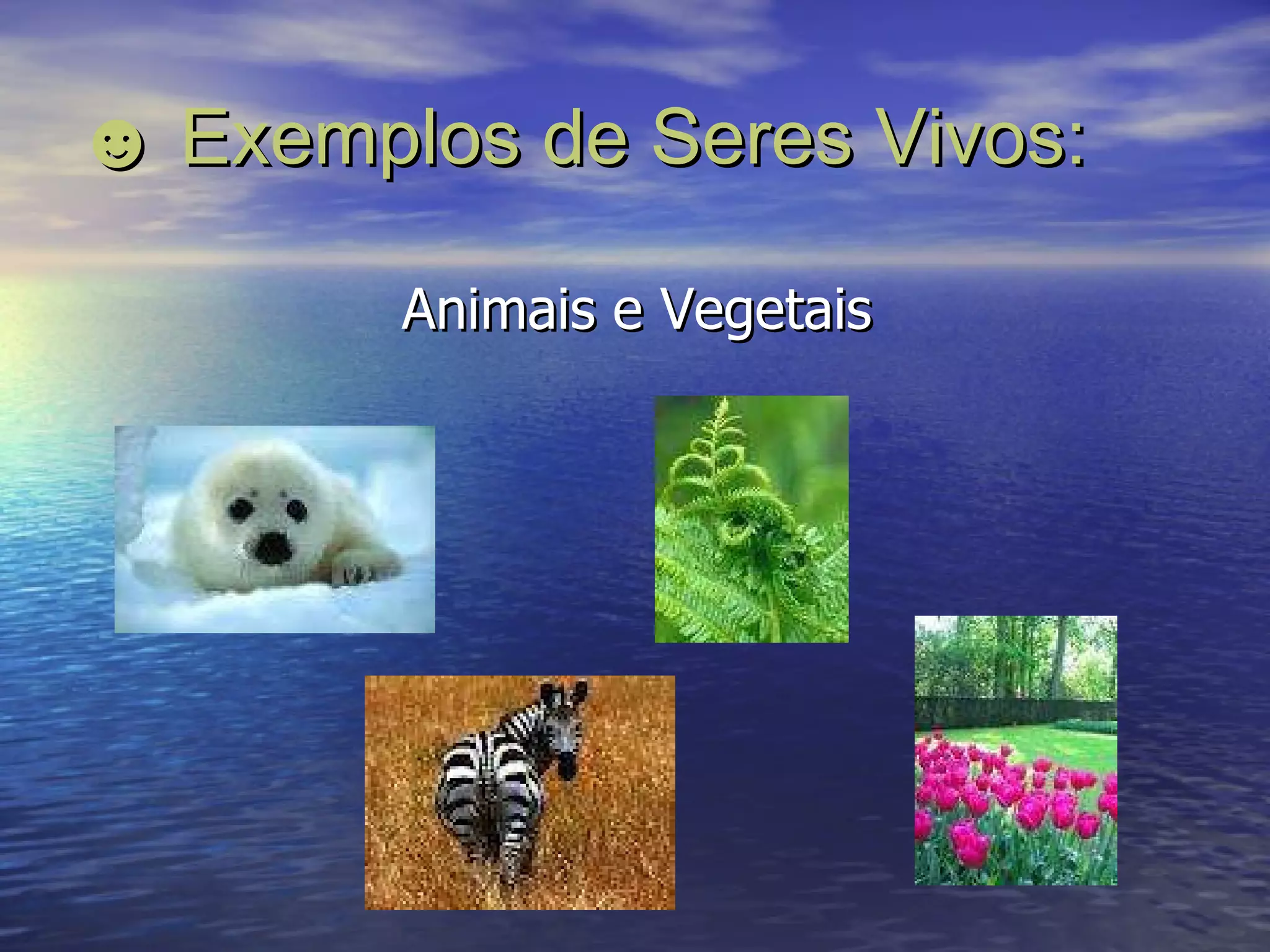 Os seres vivos e seres não vivos | PPT