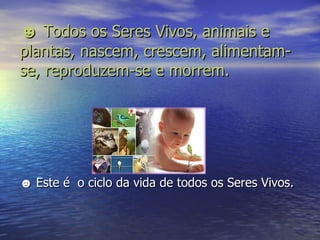 Os seres vivos e seres não vivos | PPT