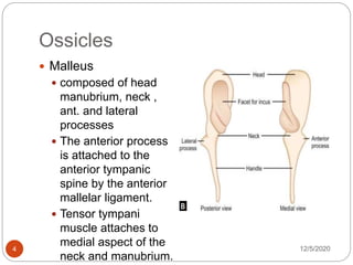 Ossicular disorder | PPTX