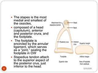 Ossicular disorder | PPTX