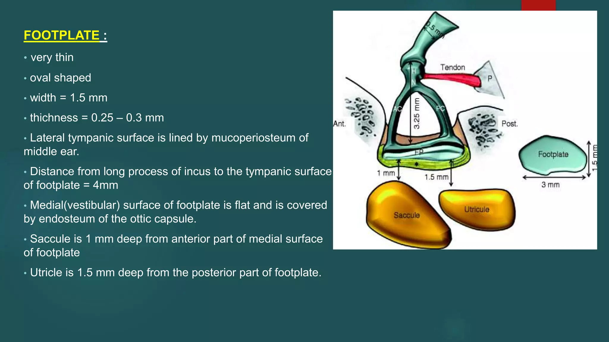 Ossiculoplasty | PPTX