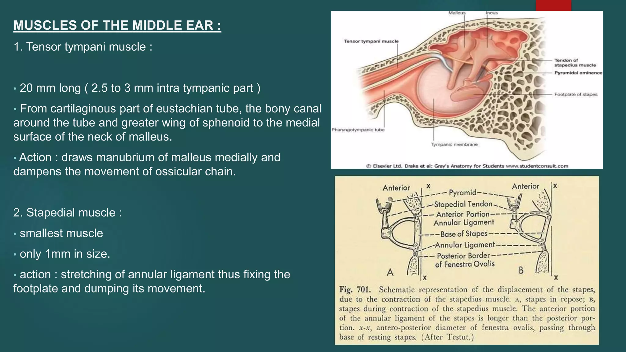 Ossiculoplasty | PPTX