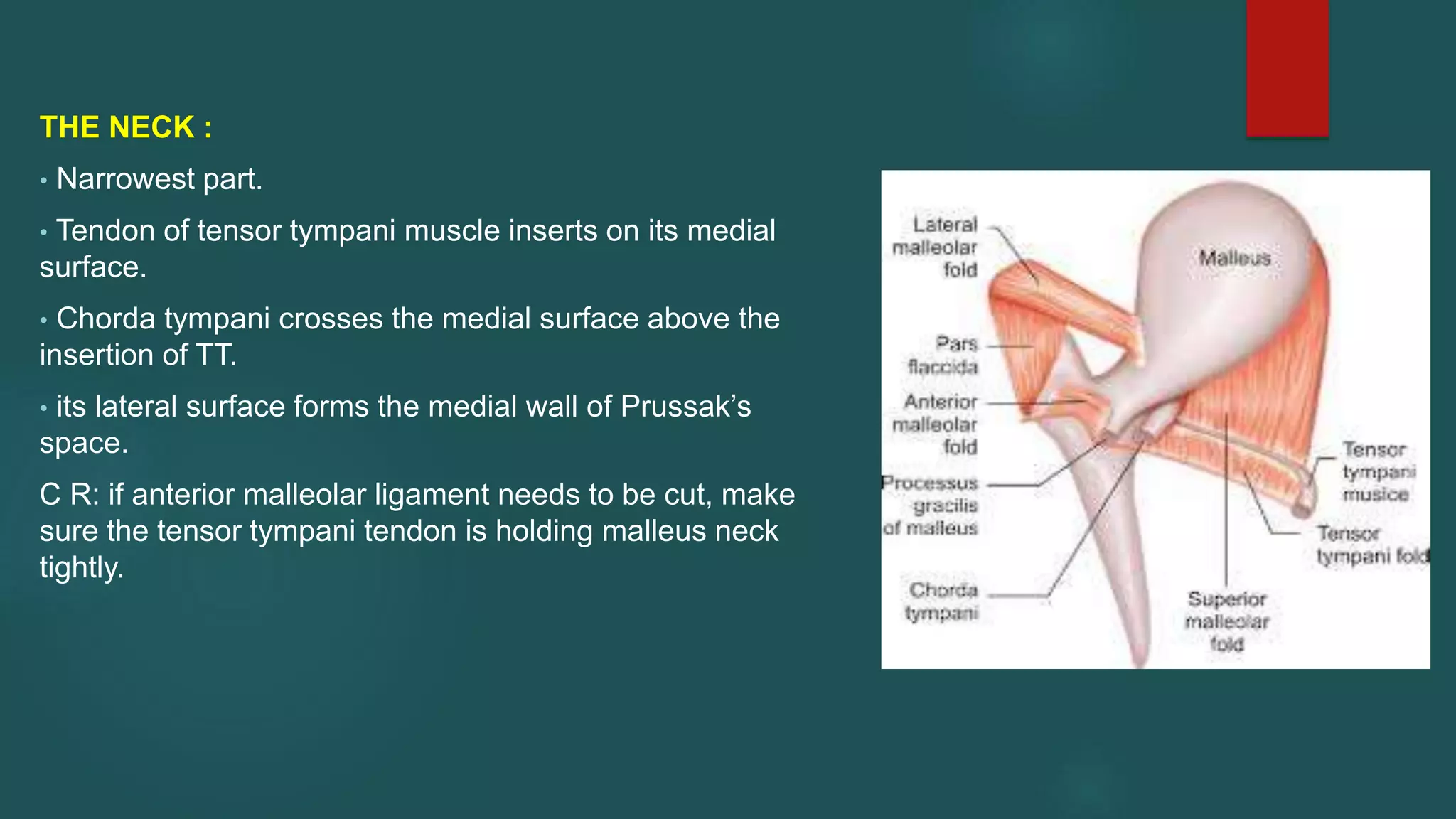 Ossiculoplasty | PPTX