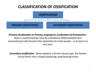 Ossification | PPTX
