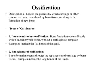 OSSIFICATION of bones physiology point.pptx