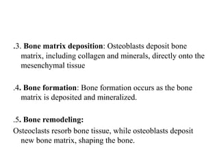 OSSIFICATION of bones physiology point.pptx