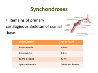 Bones and ossification | PPTX