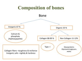 Bones and ossification | PPTX