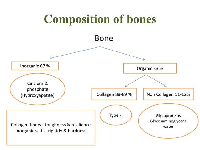 Bones and ossification | PPTX