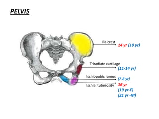 Ossification centres | PPTX