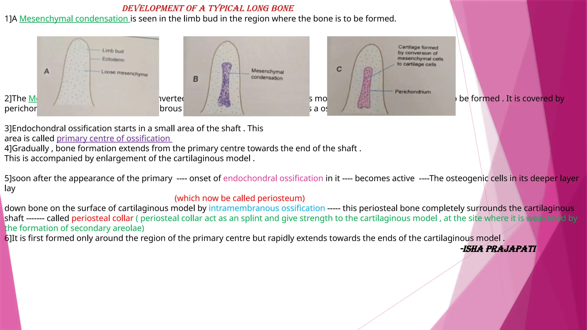 Ossification of bones (Batch A).pptx and bone | PPTX