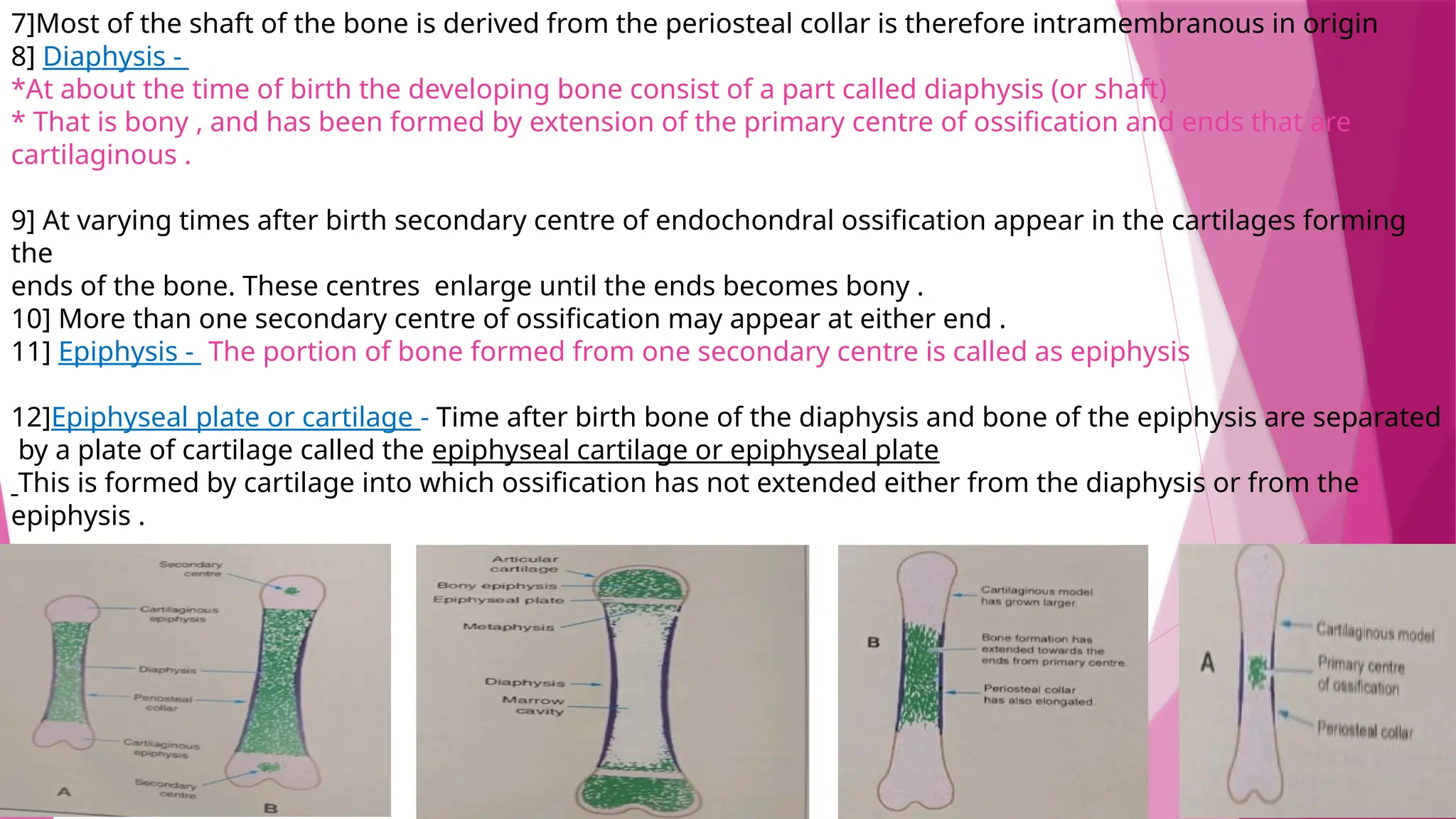 Ossification of bones (Batch A).pptx and bone | PPTX