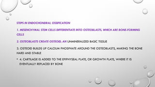 OSSIFICATION OF LONG BONE - presented by M.Pragna Deepika | PPT