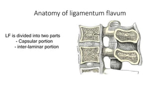ossification of yellow ligament and management | PPT