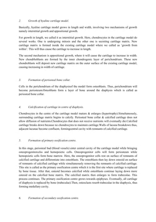 Ossification | DOCX