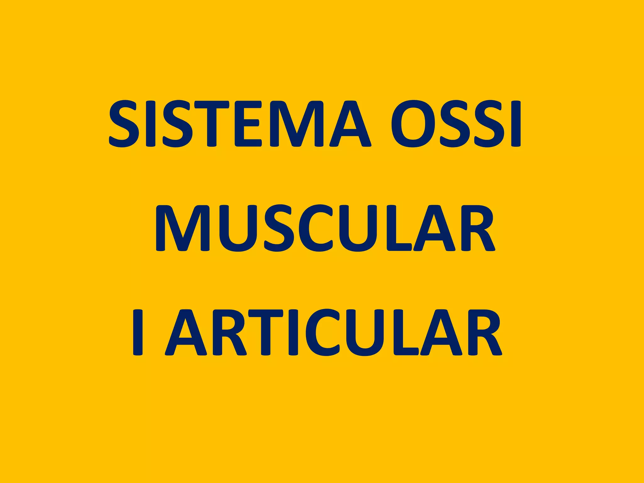 Ossi, muscular i articular | PPTX