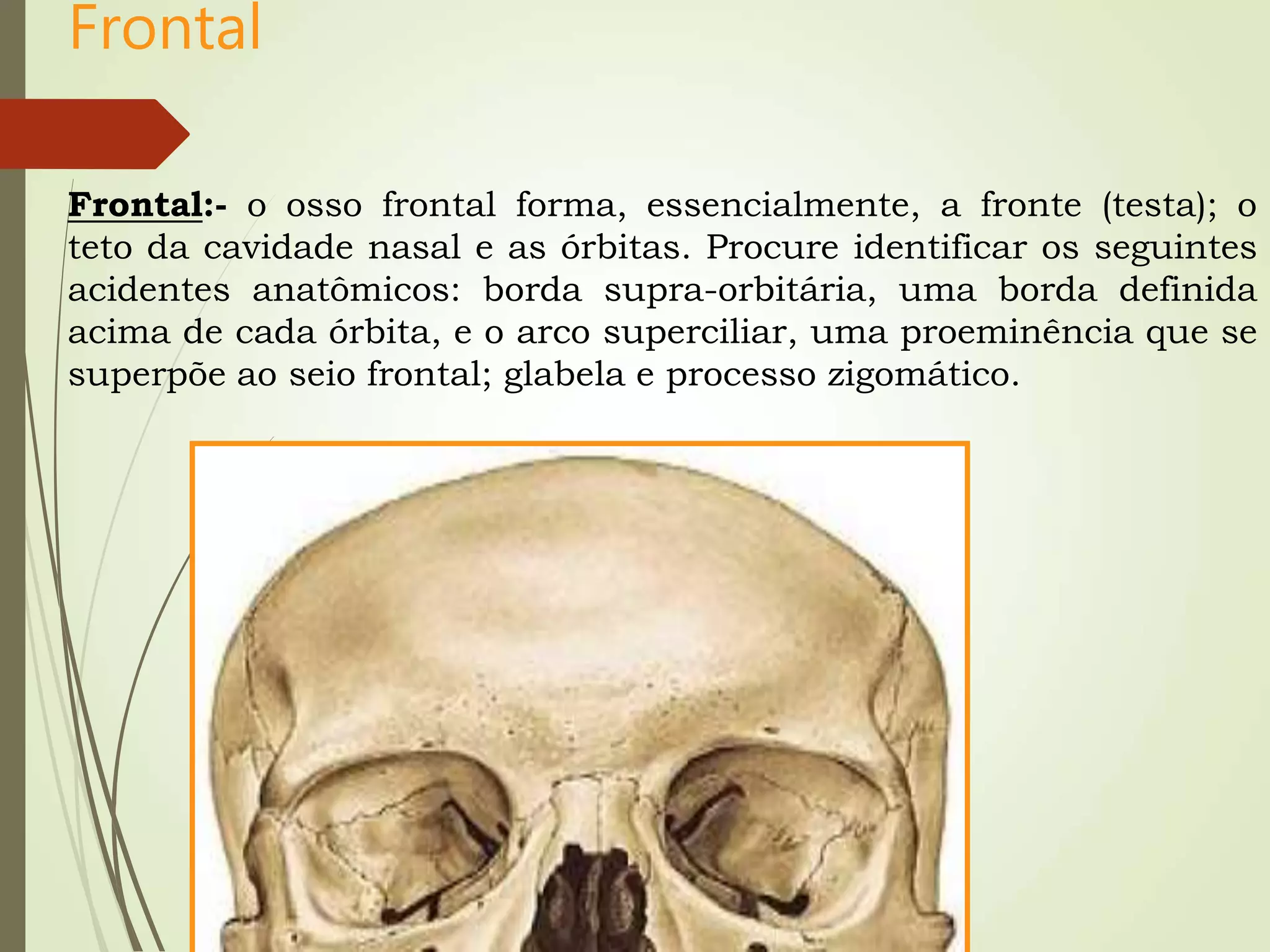 Ossos do Cranio e da Face - pré_aula - UNIME.ppt