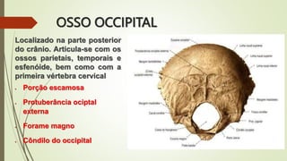 OSSOS DO CRÂNIO SLIDES.pptx