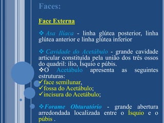 Ossos dos membros inferiores | PDF