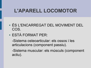 Ossos i músculs | PPT